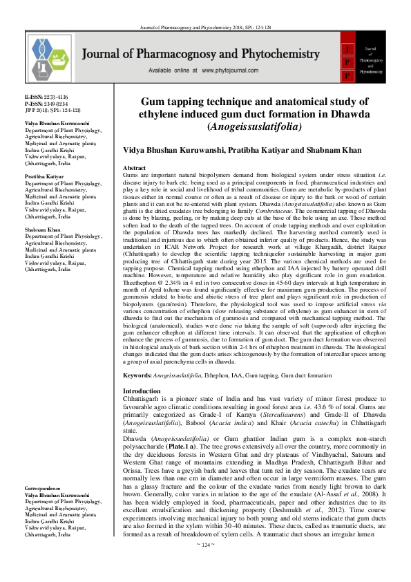 (PDF) Gum tapping technique and anatomical study of ethylene induced ...