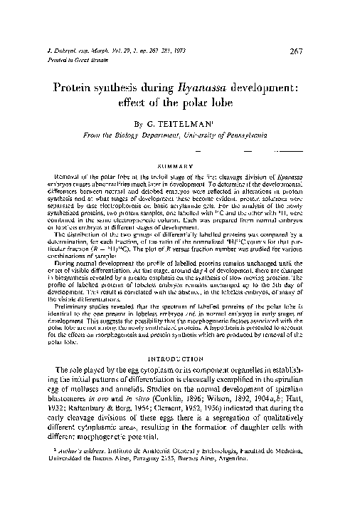 (PDF) Protein synthesis during Ilyanassa development: effect of the ...
