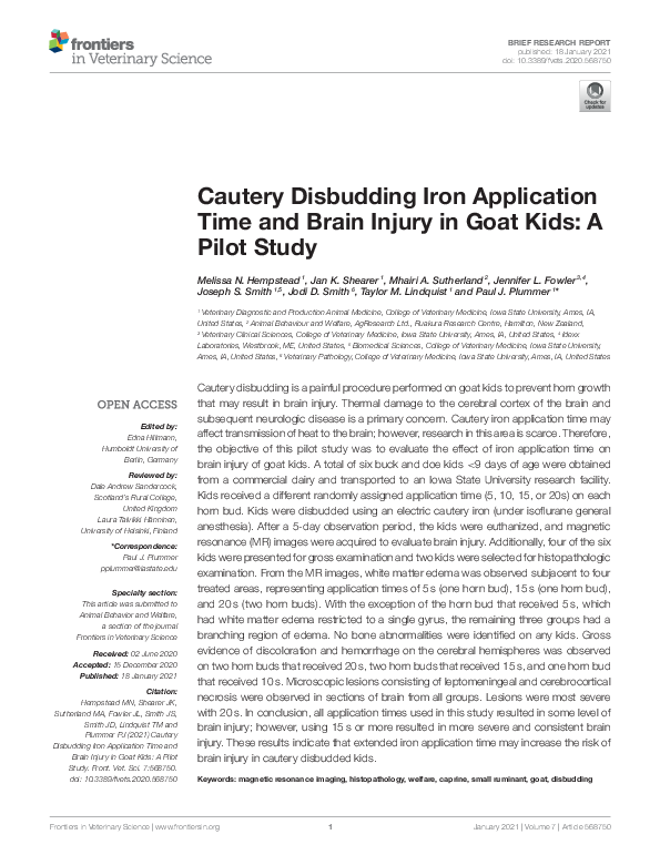 (PDF) Cautery Disbudding Iron Application Time and Brain Injury in Goat ...