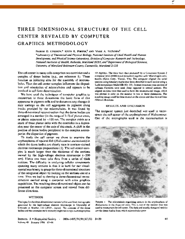 (PDF) Three Dimensional Structure of the Cell Center Revealed by ...