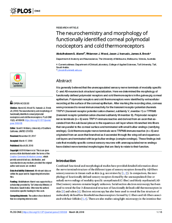 (PDF) The neurochemistry and morphology of functionally identified ...