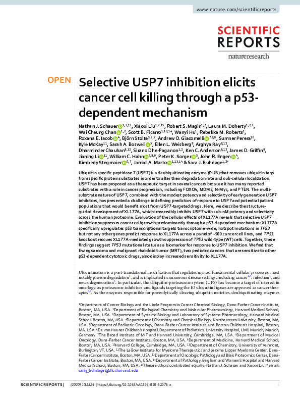 (PDF) Selective USP7 inhibition elicits cancer cell killing through a ...