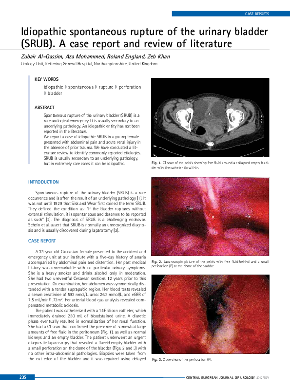 (PDF) Idiopathic spontaneous rupture of the urinary bladder (SRUB). A ...