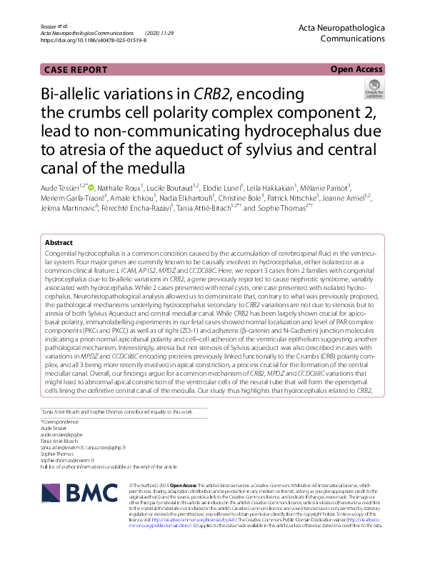 (PDF) Bi-allelic variations in CRB2, encoding the crumbs cell polarity ...