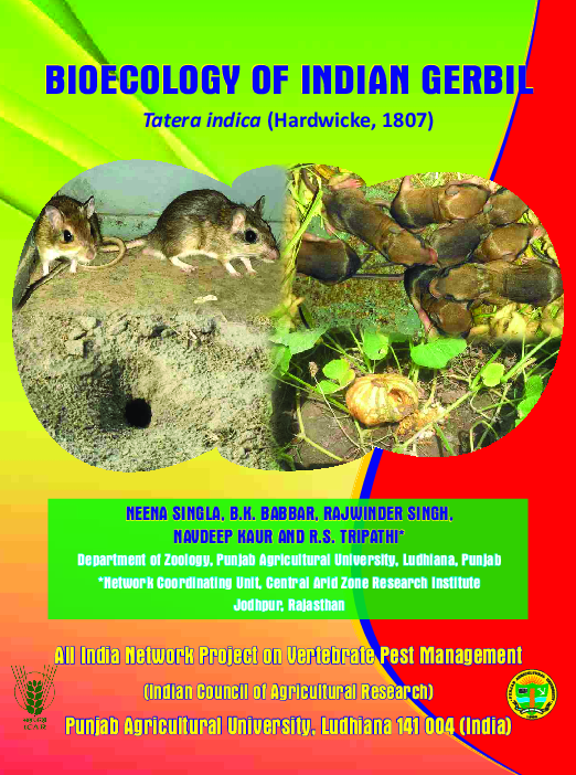 (PDF) BIOECOLOGY OF INDIAN GERBIL BIOECOLOGY OF INDIAN GERBIL Tatera indica (Hardwicke, 1807