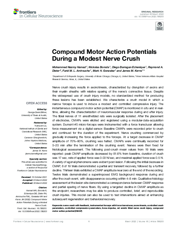 (PDF) Compound Motor Action Potentials During a Modest Nerve Crush