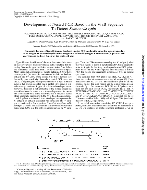 (PDF) Development of nested PCR based on the ViaB sequence to detect Salmonella typhi