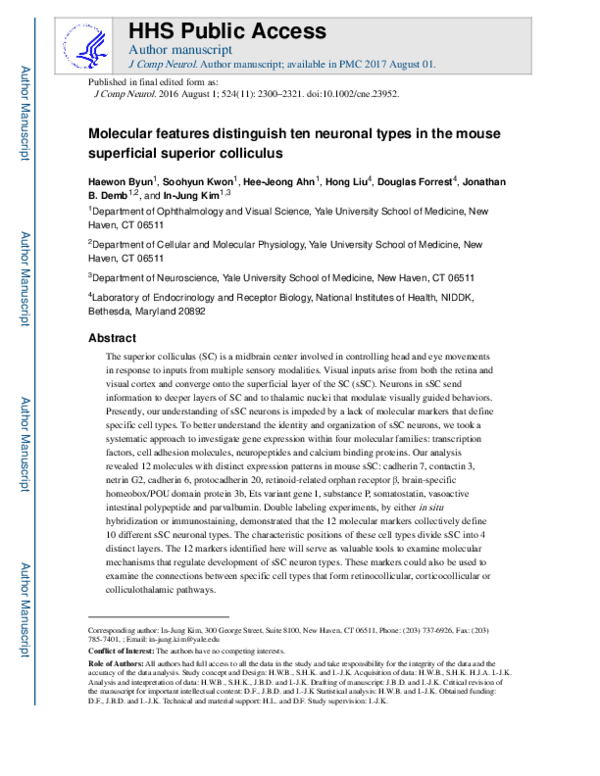 (PDF) Molecular features distinguish ten neuronal types in the mouse superficial superior colliculus