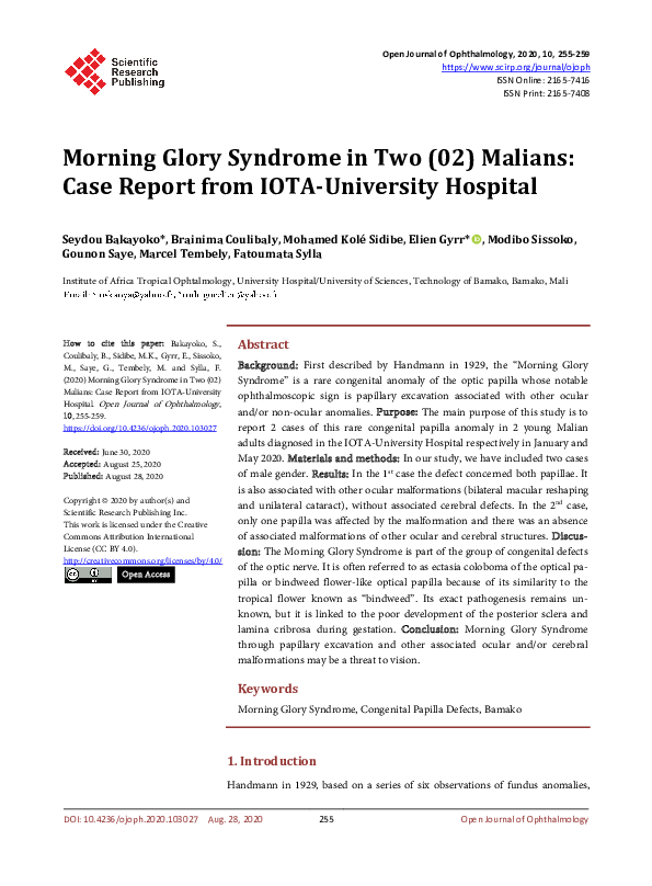 (PDF) Morning Glory Syndrome in Two (02) Malians: Case Report from IOTA ...