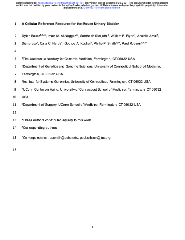 (PDF) A Cellular Reference Resource for the Mouse Urinary Bladder