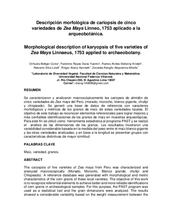 (PDF) Descripción morfológica de cariopsis de cinco variedades de Zea ...