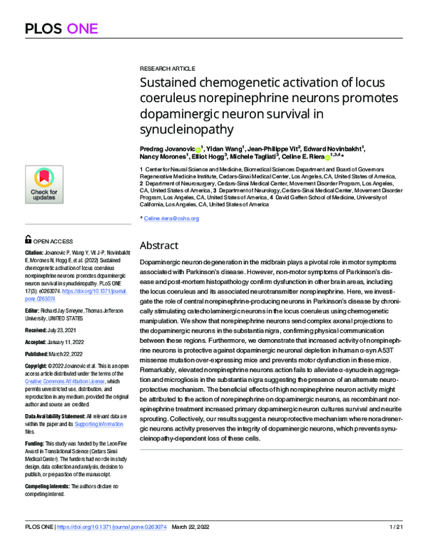 (PDF) Sustained chemogenetic activation of locus coeruleus ...