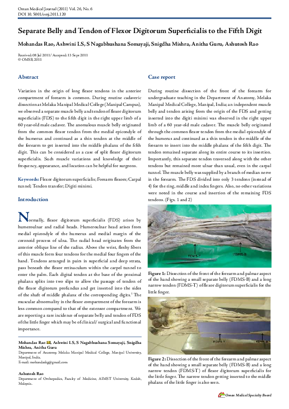 (PDF) Separate Belly and Tendon of Flexor Digitorum Superficialis to ...