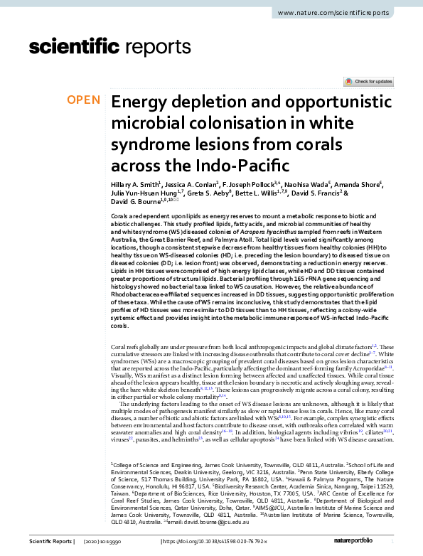 (PDF) Energy depletion and opportunistic microbial colonisation in white syndrome lesions from ...