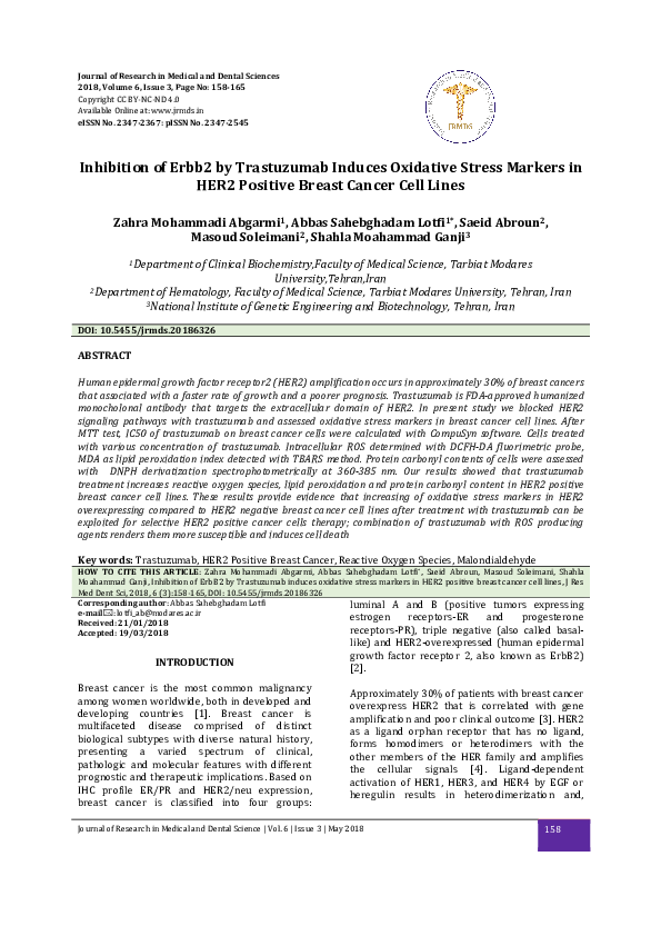 (PDF) Inhibition of Erbb2 by Trastuzumab Induces Oxidative Stress Markers in HER2 Positive ...