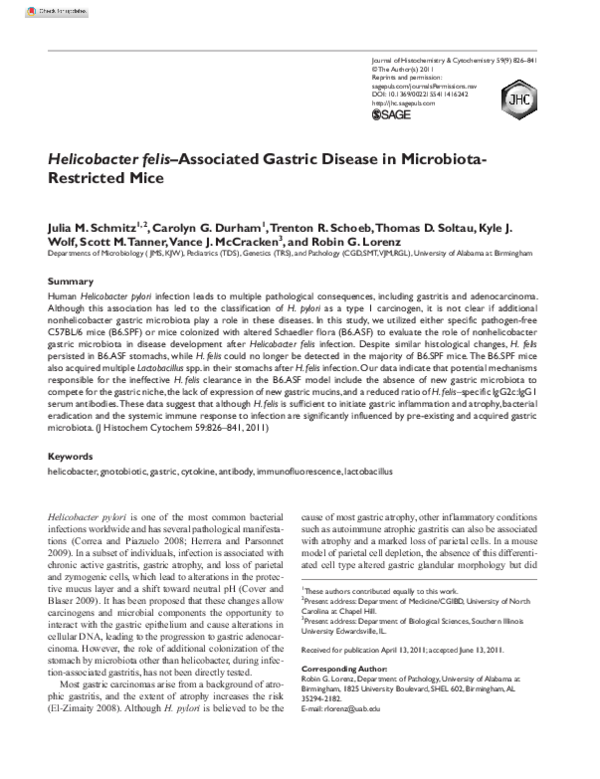 (PDF) Helicobacter felis–Associated Gastric Disease in Microbiota ...