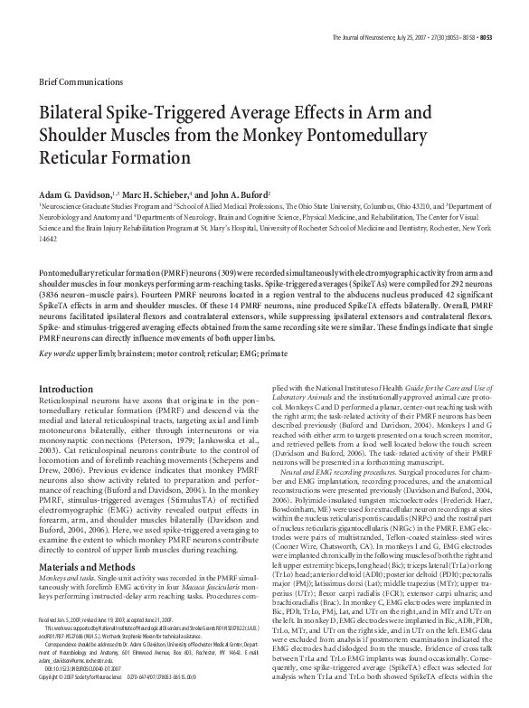 (PDF) Bilateral Spike-Triggered Average Effects in Arm and Shoulder ...