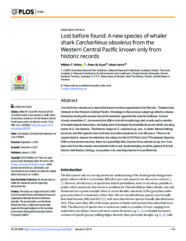 (PDF) Lost before found: A new species of whaler shark Carcharhinus ...