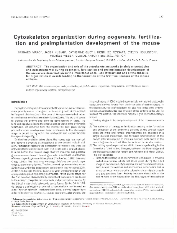 (PDF) Cytoskeleton organization during oogenesis, fertilization and ...