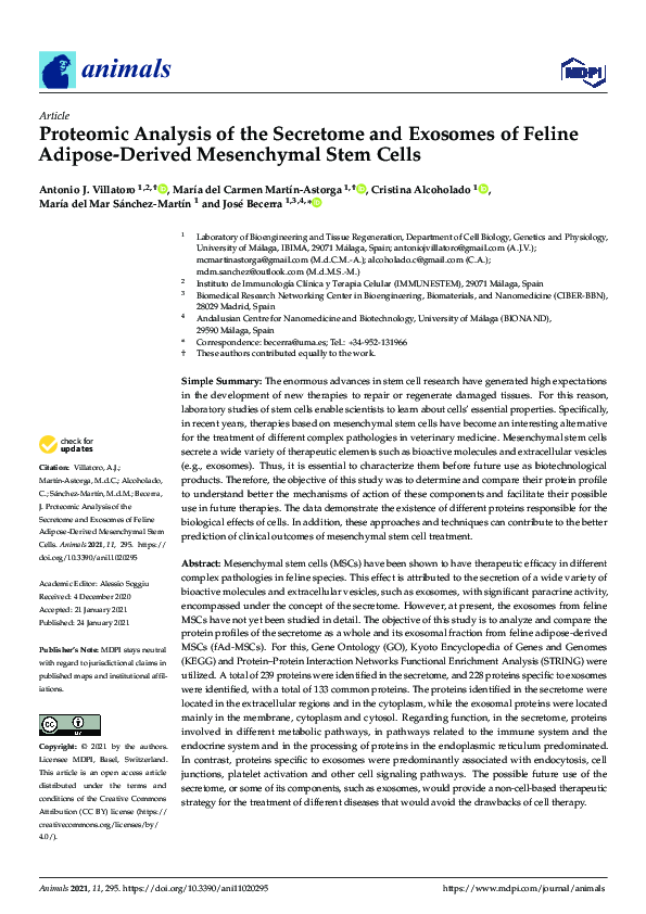 (PDF) Proteomic Analysis of the Secretome and Exosomes of Feline Adipose-Derived Mesenchymal ...
