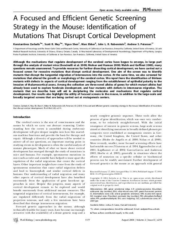 (PDF) A Focused and Efficient Genetic Screening Strategy in the Mouse ...