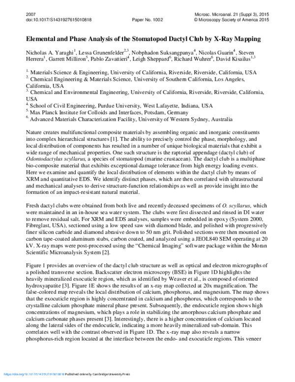 (PDF) Elemental and Phase Analysis of the Stomatopod Dactyl Club by X ...