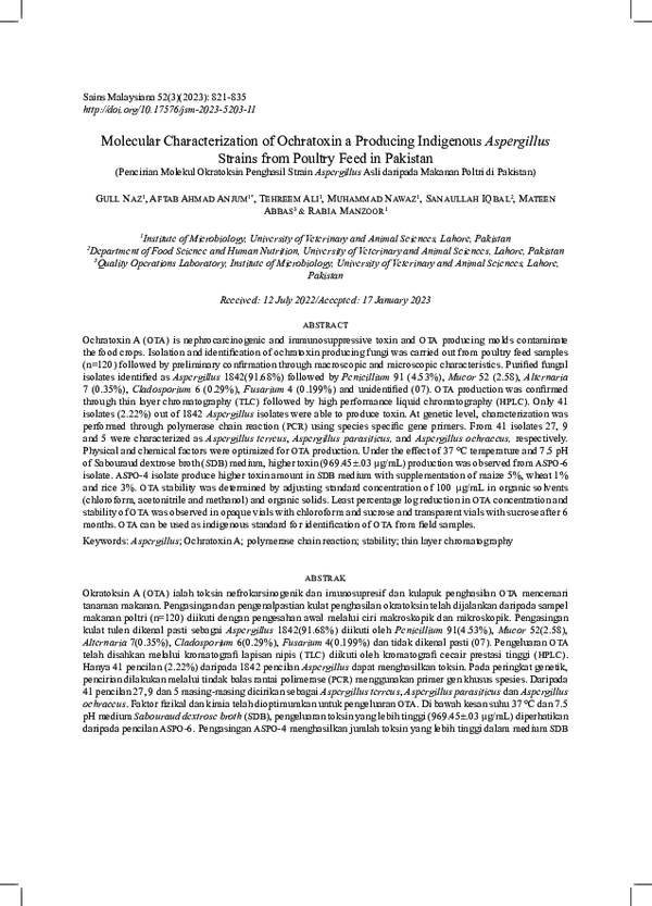 (PDF) Molecular Characterization of Ochratoxin a Producing Indigenous Aspergillus Strains from ...