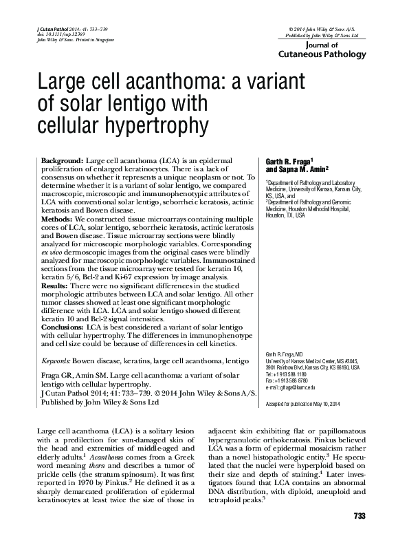 (PDF) Large cell acanthoma: a variant of solar lentigo with cellular ...