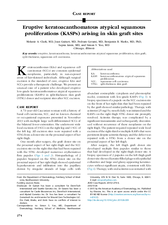 (PDF) Eruptive keratoacanthomatous atypical squamous proliferations ...