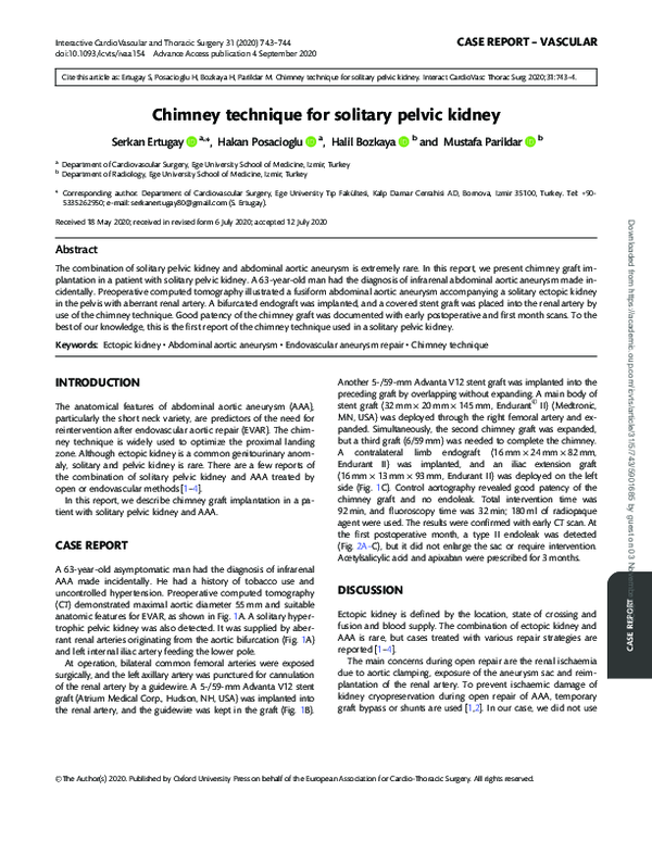 (PDF) Chimney technique for solitary pelvic kidney