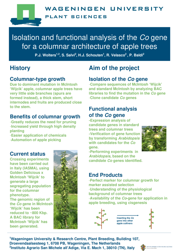 (PDF) Isolation and functional analysis of the Co-gene for a columnar ...