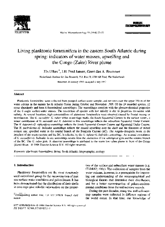 (PDF) Living planktonic foraminifera in the eastern South Atlantic ...