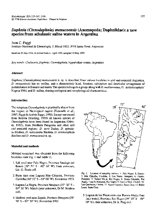 (PDF) Daphnia (Cienodaphnia) menucoensis (Anomopoda; Daphniidae): a new ...