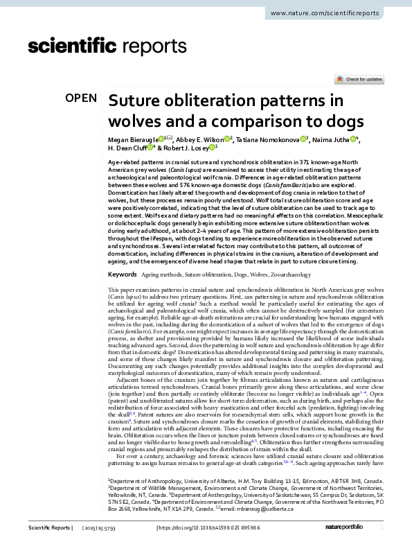 (PDF) Suture obliteration patterns in wolves and a comparison to dogs
