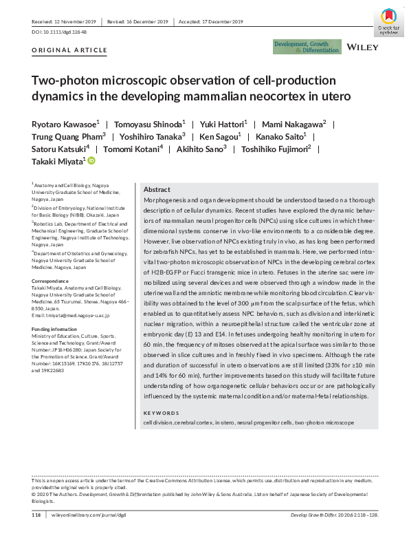 (PDF) Two‐photon microscopic observation of cell‐production dynamics in the developing mammalian ...
