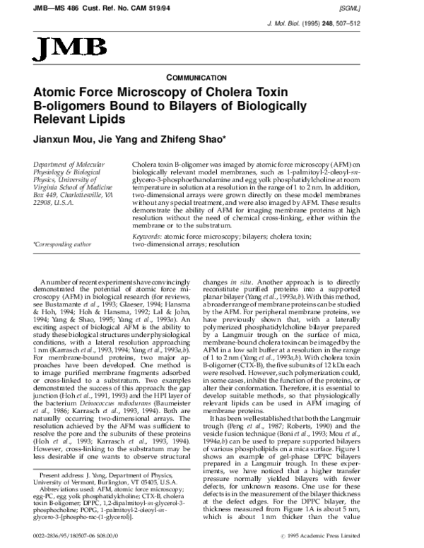 (PDF) Atomic Force Microscopy of Cholera Toxin B-oligomers Bound to ...