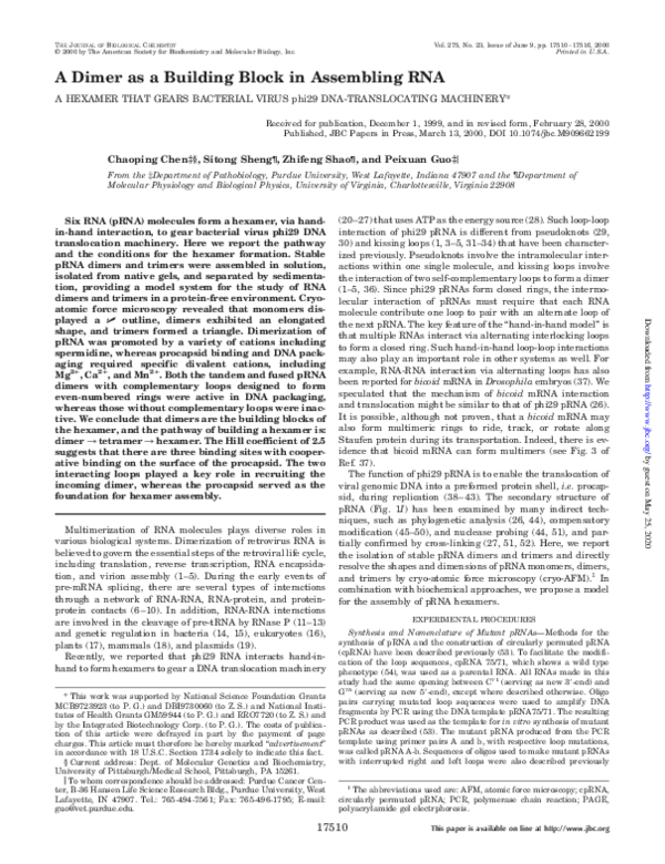 (PDF) A Dimer as a Building Block in Assembling RNA
