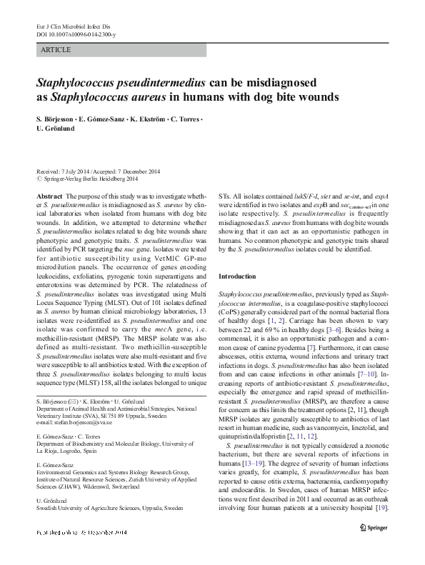 (PDF) Staphylococcus pseudintermedius can be misdiagnosed as ...