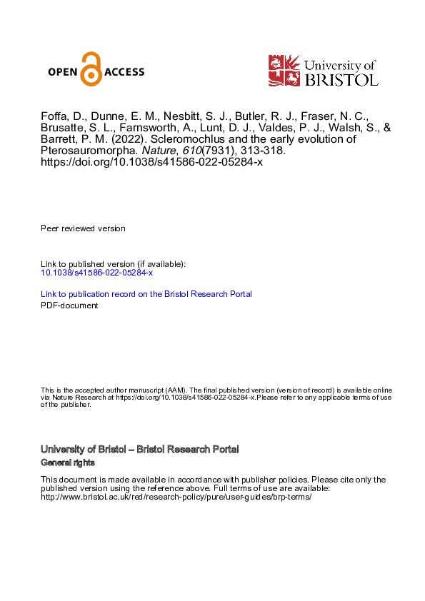 (PDF) Scleromochlus and the early evolution of Pterosauromorpha