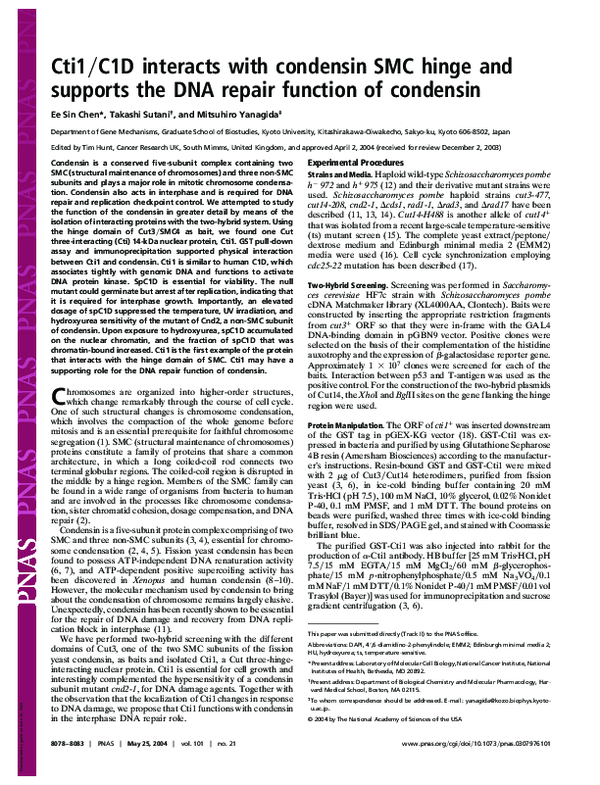 (PDF) Cti1/C1D interacts with condensin SMC hinge and supports the DNA repair function of condensin