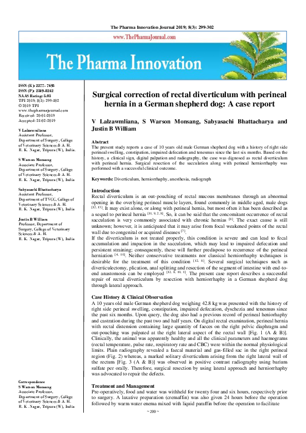 (PDF) Surgical correction of rectal diverticulum with perineal hernia ...