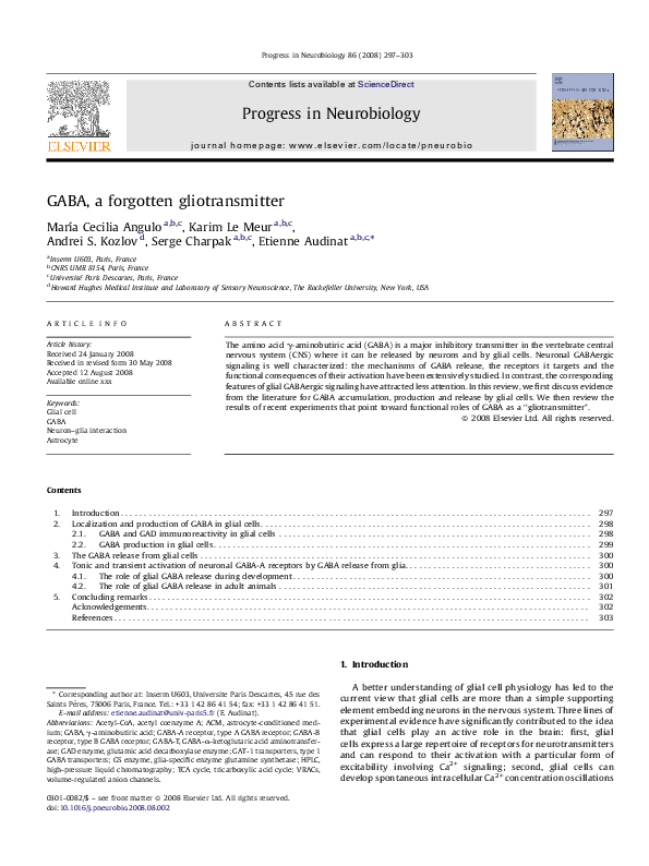 (PDF) GABA, a forgotten gliotransmitter