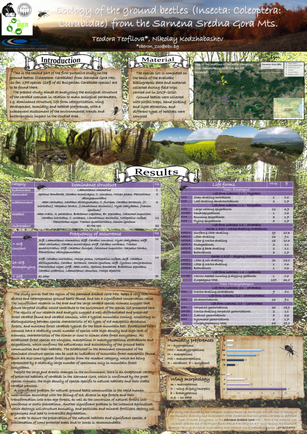 (PDF) New and unpublished data about the ground beetles from tribes ...