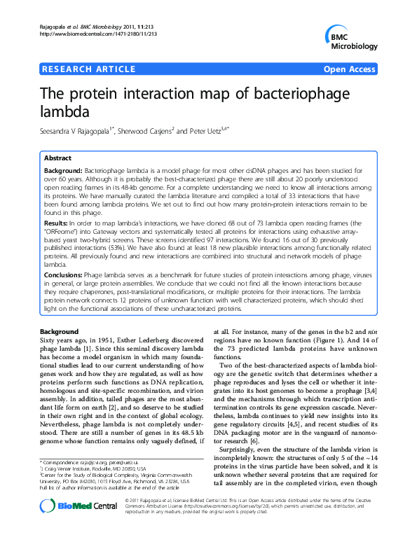 (PDF) The protein interaction map of bacteriophage lambda
