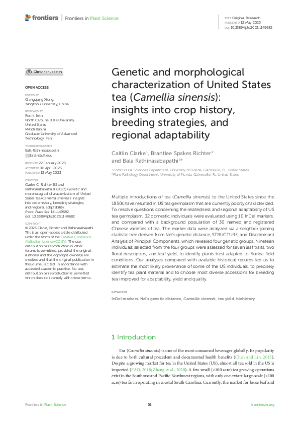 (PDF) Genetic and morphological characterization of United States tea ...