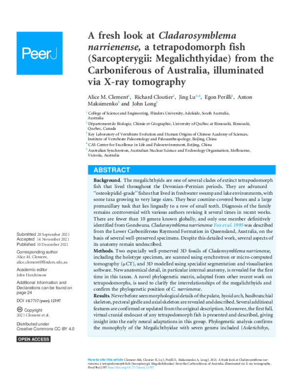 (PDF) A fresh look at Cladarosymblema narrienense, a tetrapodomorph ...