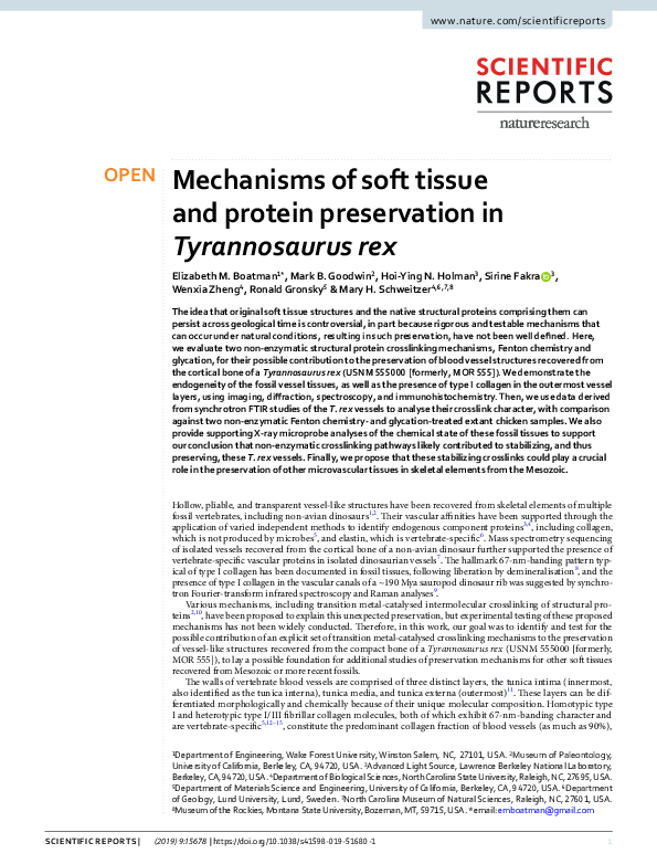 (PDF) Mechanisms of soft tissue and protein preservation in ...