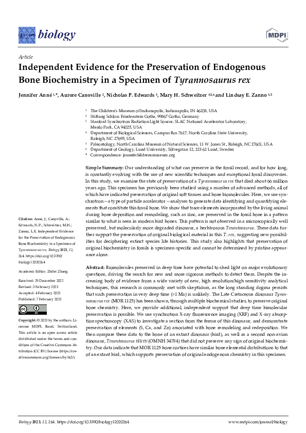 (PDF) Independent Evidence for the Preservation of Endogenous Bone ...