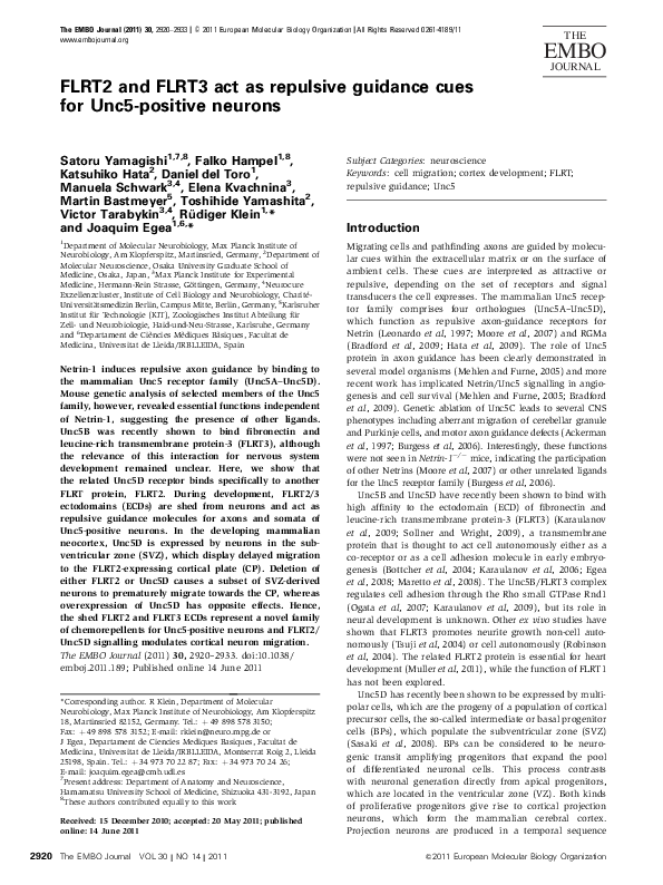 (PDF) FLRT2 and FLRT3 act as repulsive guidance cues for Unc5-positive ...