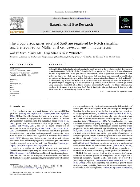 (PDF) The group E Sox genes Sox8 and Sox9 are regulated by Notch ...